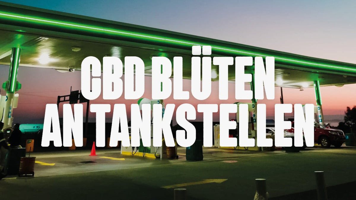 CBD-Blüten an Tankstellen kaufen im Jahr 2023 | Happy420.de CBD-Blüten an Tankstellen kaufen im Jahr 2023 | Happy420.de